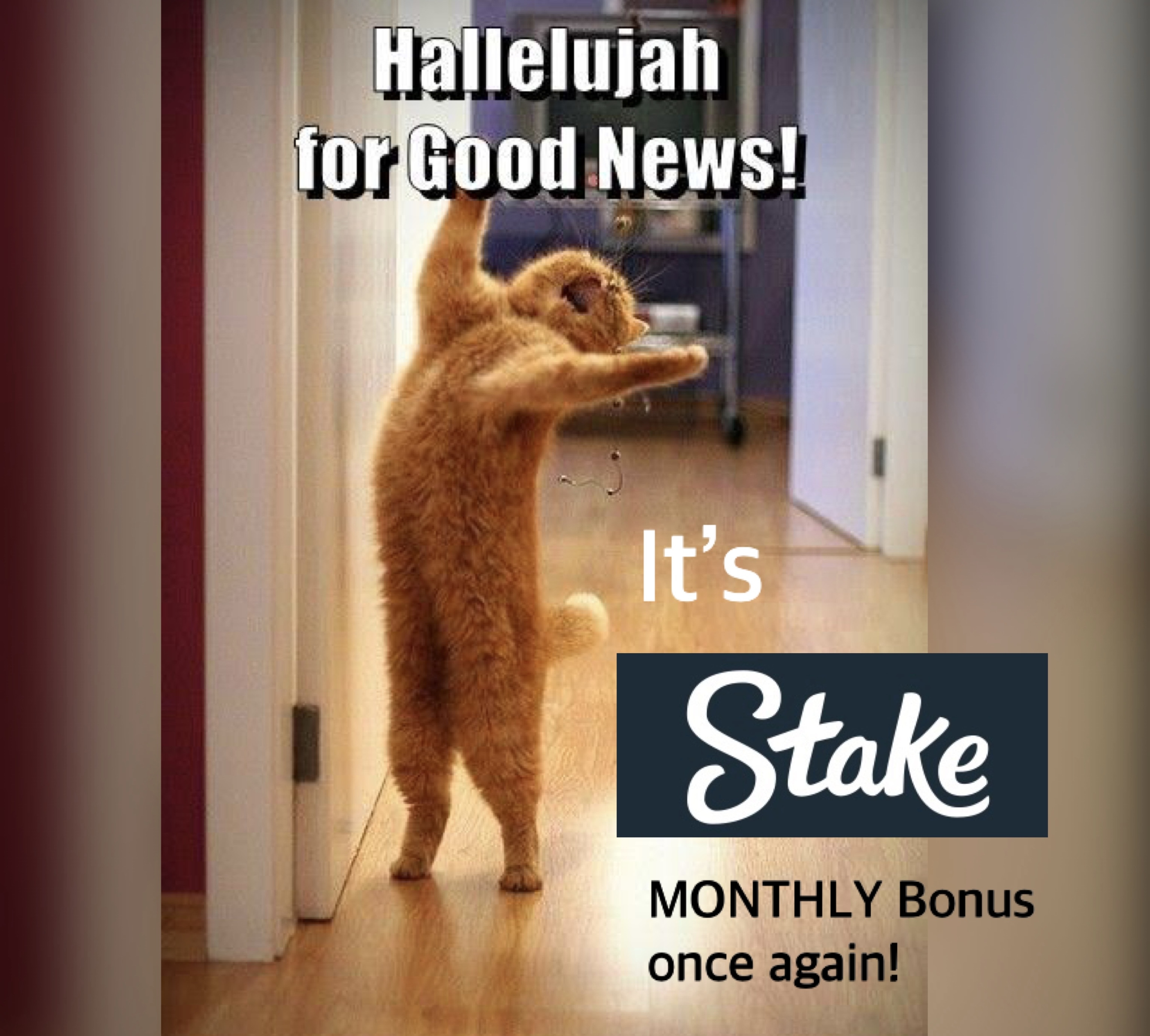 📝Stake Memes Challenge 📝 - Past Events - Stake Forum