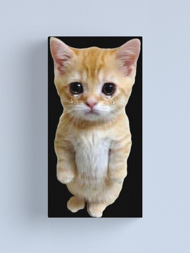 Weekend Stream + Giveaway - Page 106 - Eddie's Weekly Giveaway - Stake Forum