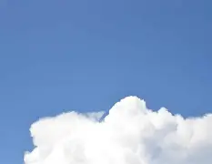 🥩 What’s that one food you could eat forever? 🍕 - Page 17 - General ...