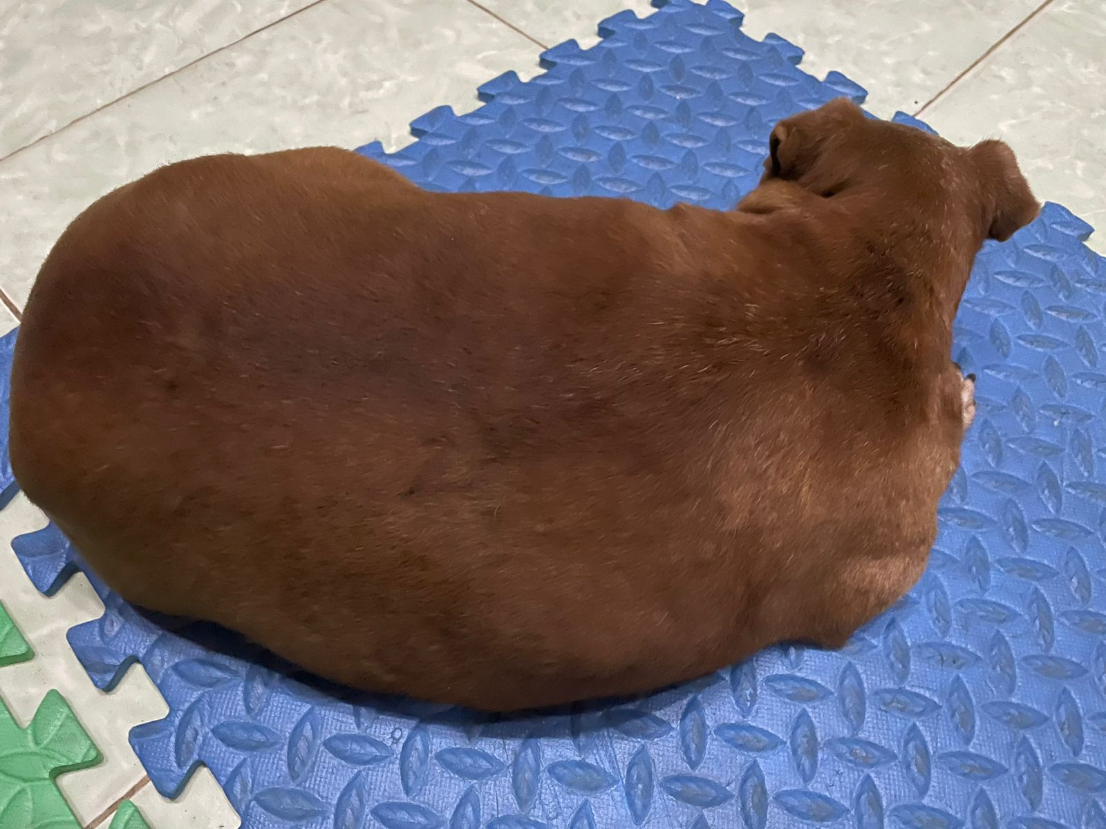 🎁 Your Christmas Wishlist – Real or Dreamy - Page 3 - General - Stake Forum